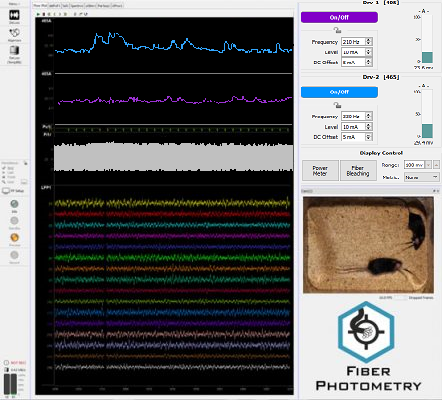 Fiber Photometry System | Tucker-Davis Technologies