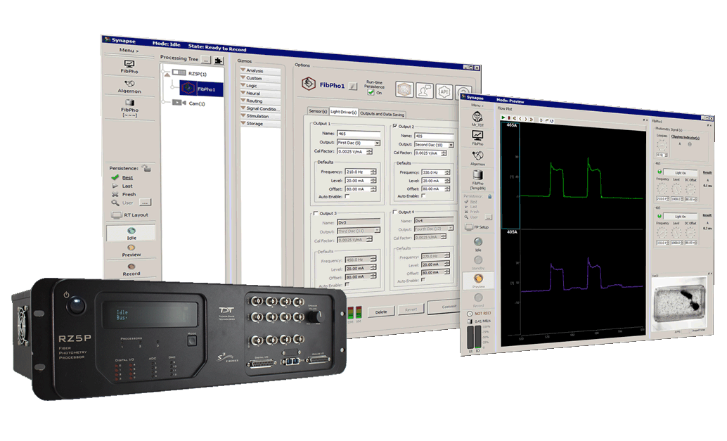 Fiber Photometry System | Tucker-Davis Technologies