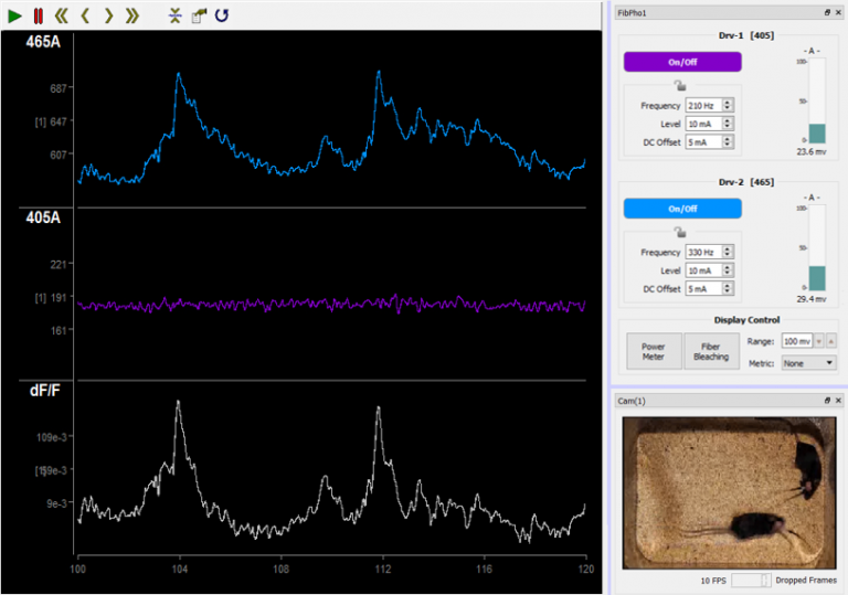 Synapse Software - Tucker-Davis Technologies