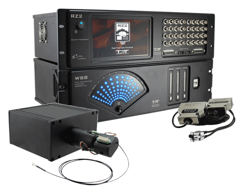 Products | Tucker-Davis Technologies