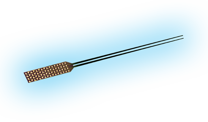 Home | TDT | Tucker-Davis Technologies