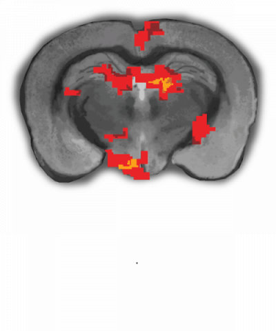 Home | TDT | Tucker-Davis Technologies