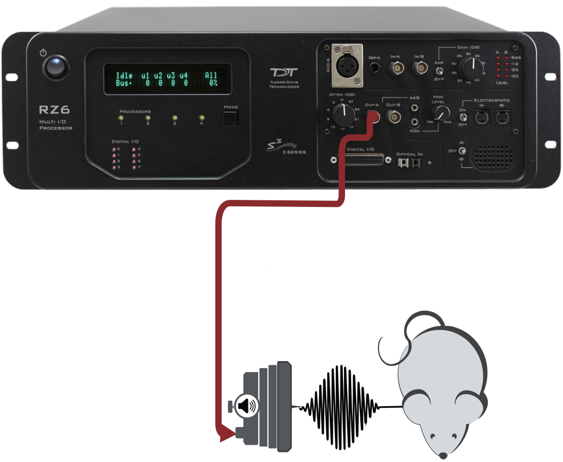Auditory Stimulation | Tucker-Davis Technologies