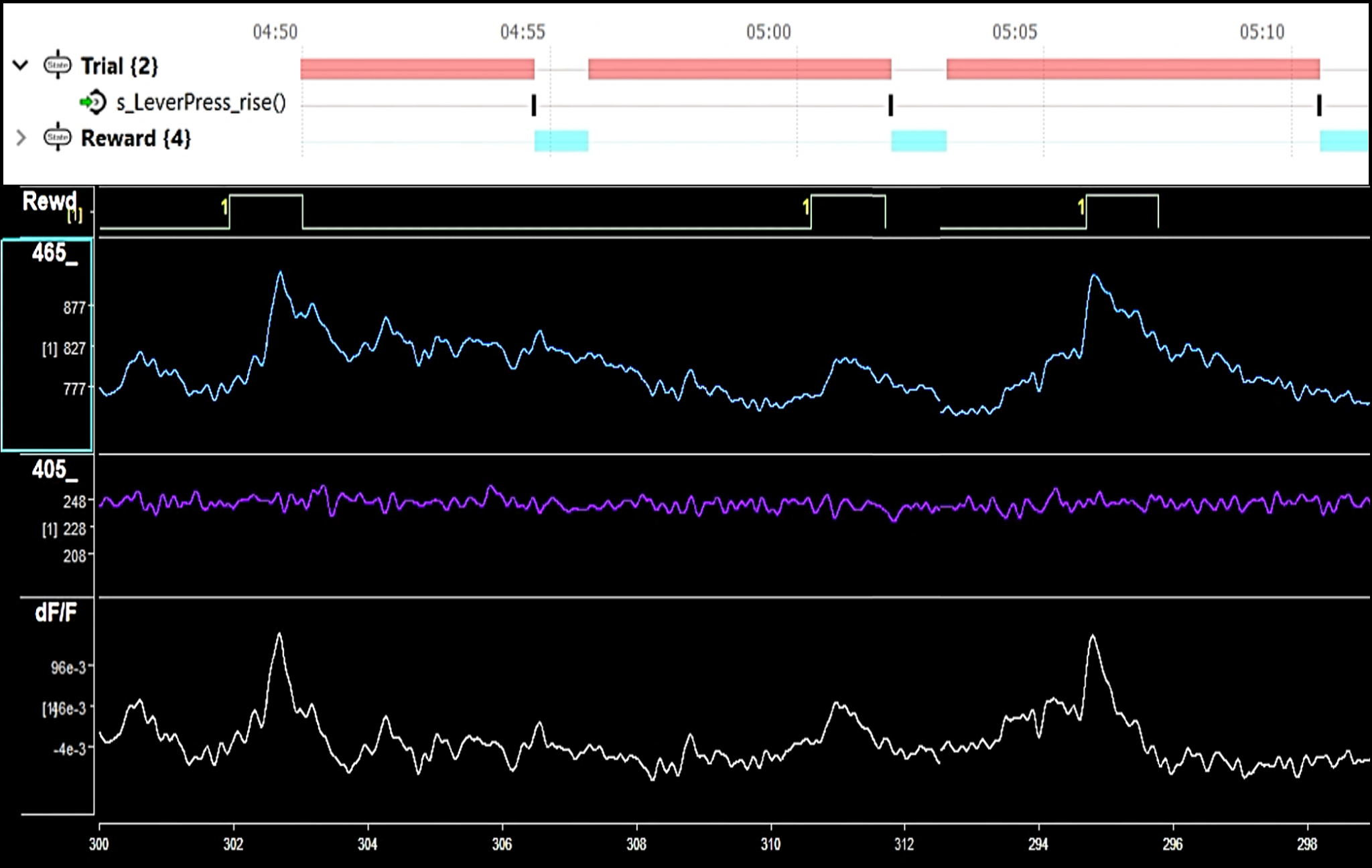 RZ11 - iCon Module Processor | TDT Neuroscience Tools & Software Solutions