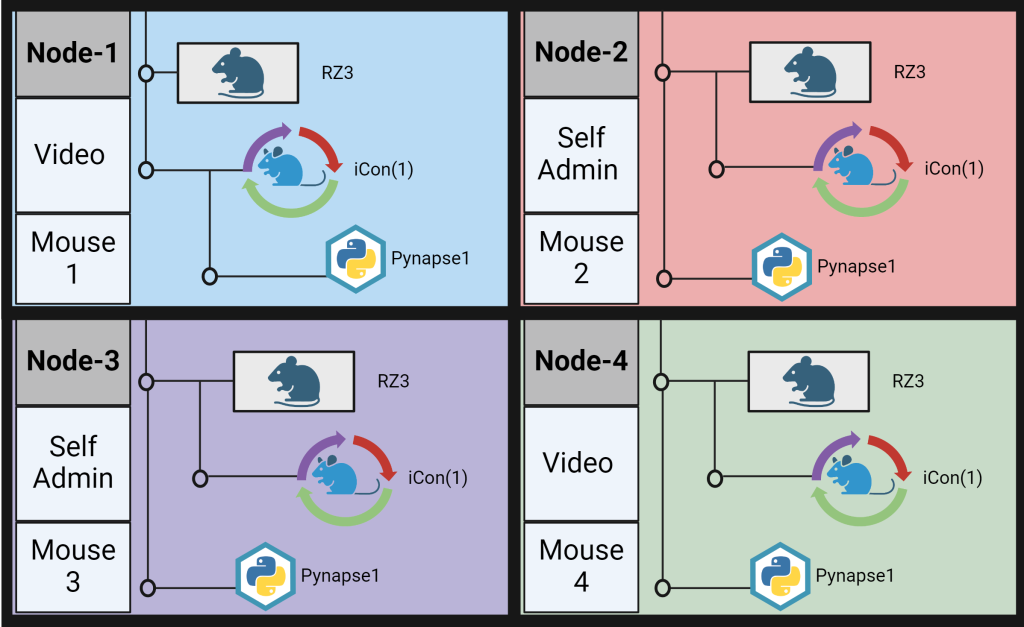 iPac Behavioral Controller | TDT Neuroscience Tools & Software Solutions