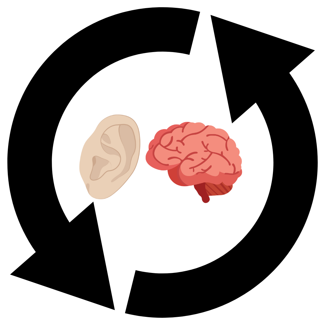 Publication Spotlight: Todd Mowery and Justin Yao | TDT Neuroscience ...