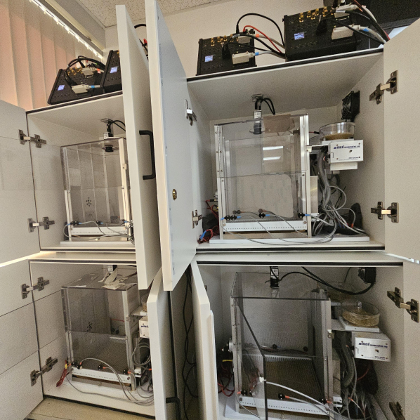 Dr Todd Mowery and Justin Yao - Part 1 | TDT Neuroscience Tools ...