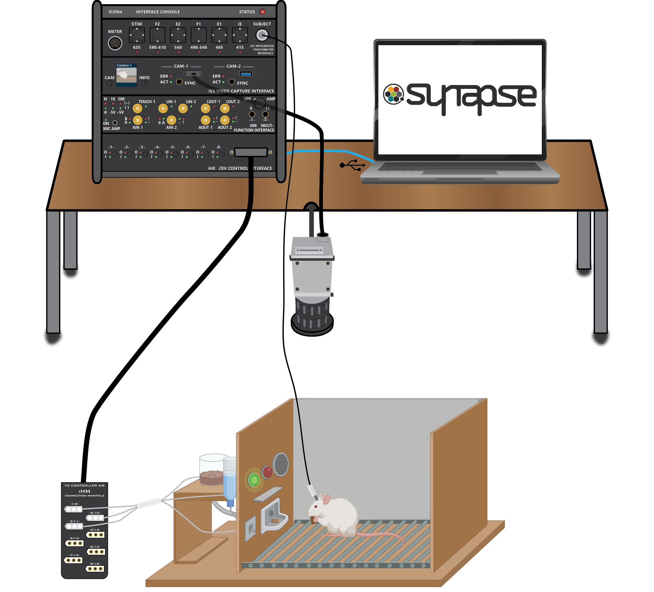 New Products | TDT Neuroscience Tools & Software Solutions